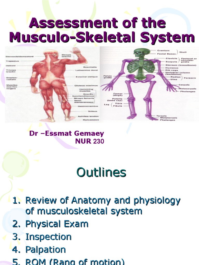 Assessment of The Musclo-Skletal System | PDF | Anatomical Terms Of ...