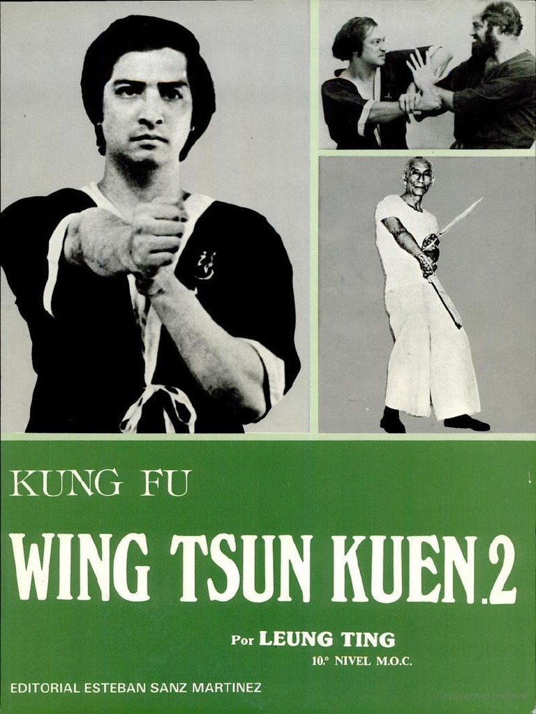 Wing Tsun | PDF