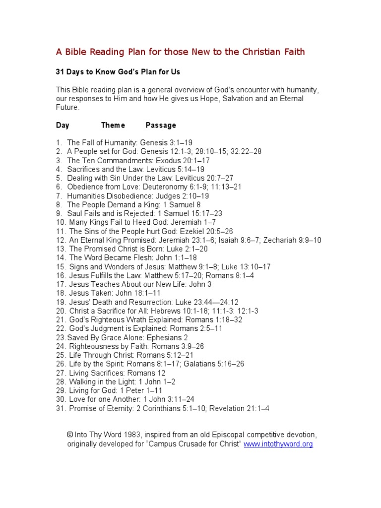 Bible Reading New To The Faith | PDF