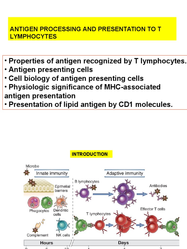 Penangkapan Antigen Dan Presentasi Ke Limfosit | PDF | Kesehatan Holistik
