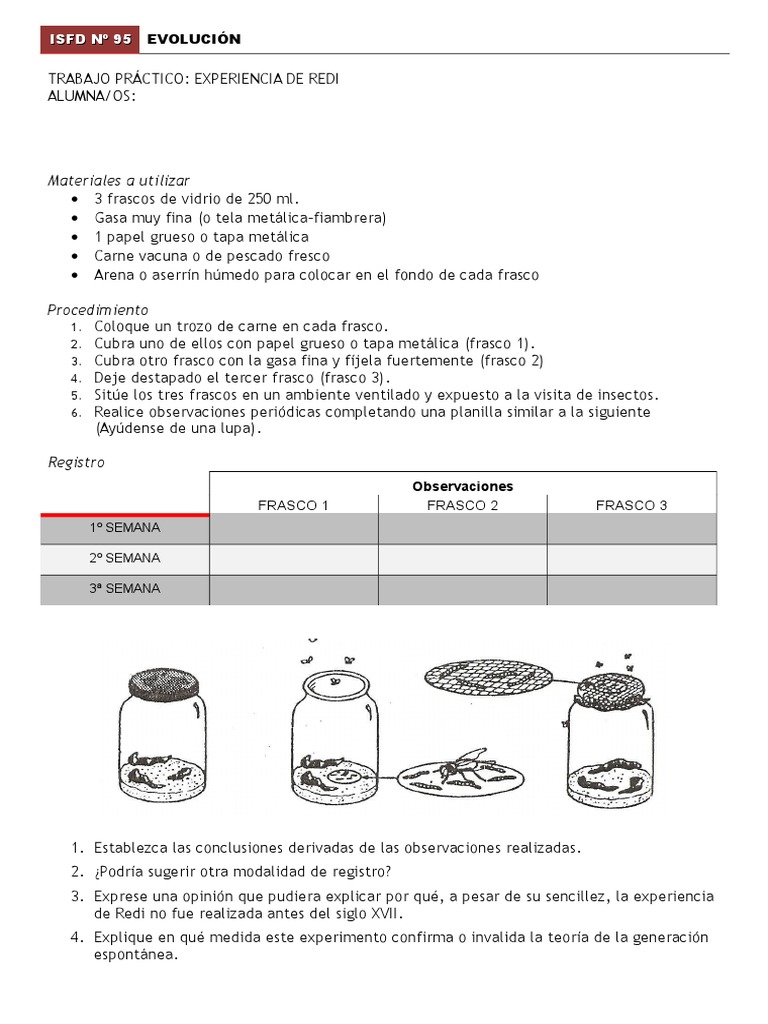 Exp Redi y Origen Vida | PDF | Vida | Organismos
