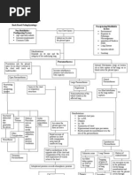 WHO Bleeding Scale Overview | PDF | Leukemia | Lymphoma