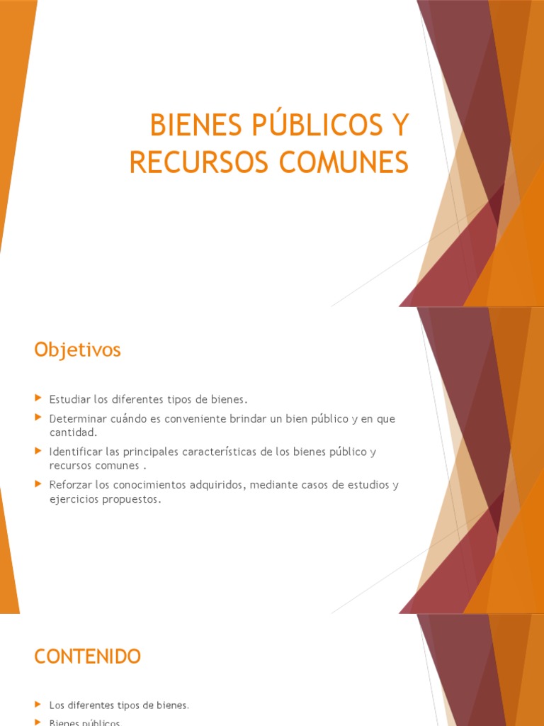 Bienes Públicos y Recursos Comunes | PDF | Bien público | Bienes