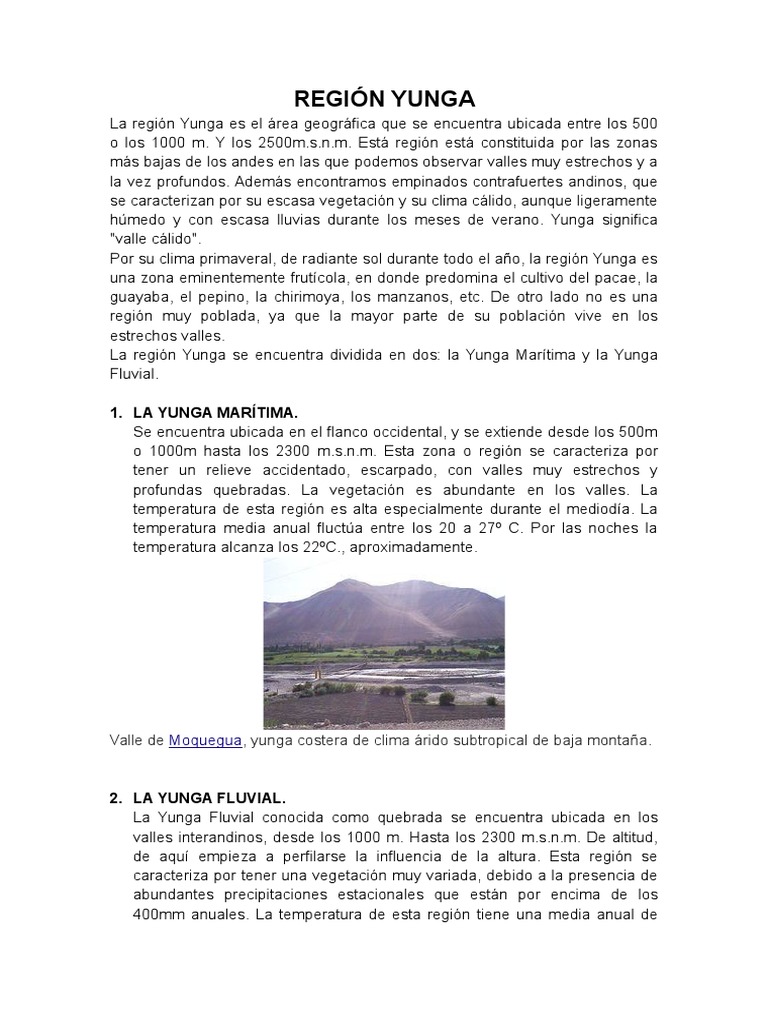Características de la Región Yunga | PDF | Geografía Física | Meteorología
