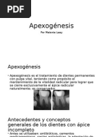 Apexificación y Apexogénesis | PDF | Diente humano | Calcio