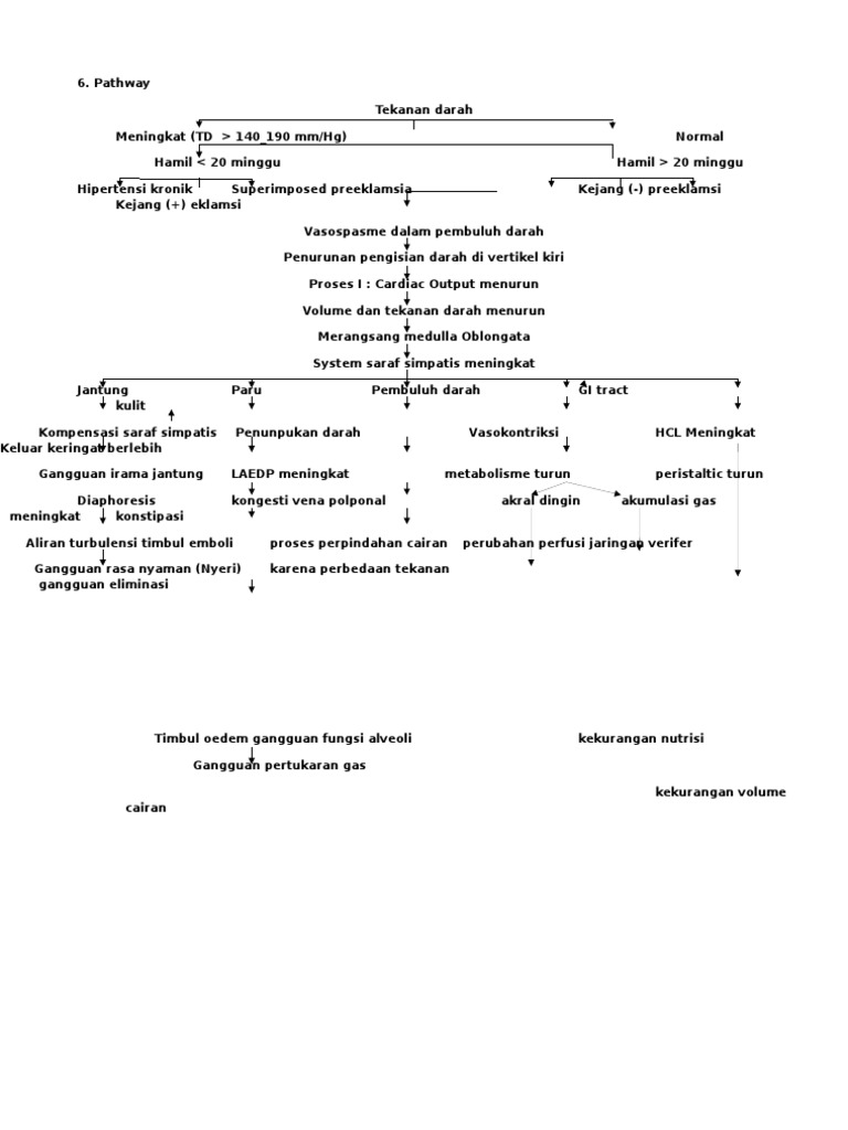 Pathway Preeklamsia (Uji) | PDF