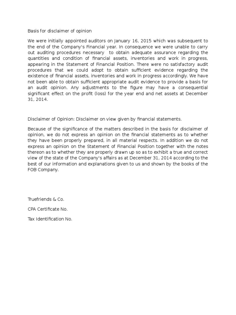 Basis for Disclaimer of Audit Opinion | PDF