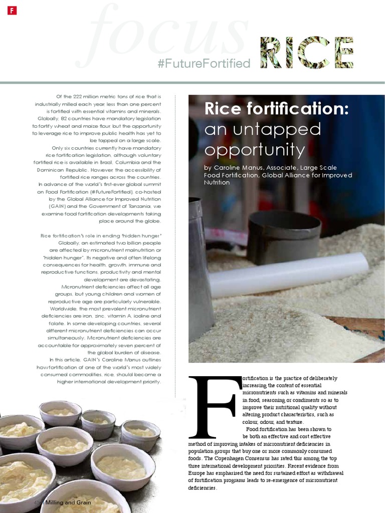 Rice Fortification Focus | PDF | Micronutrient | Rice