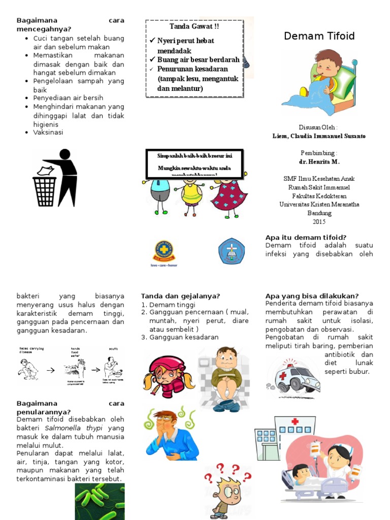 Leaflet Tifoid | PDF