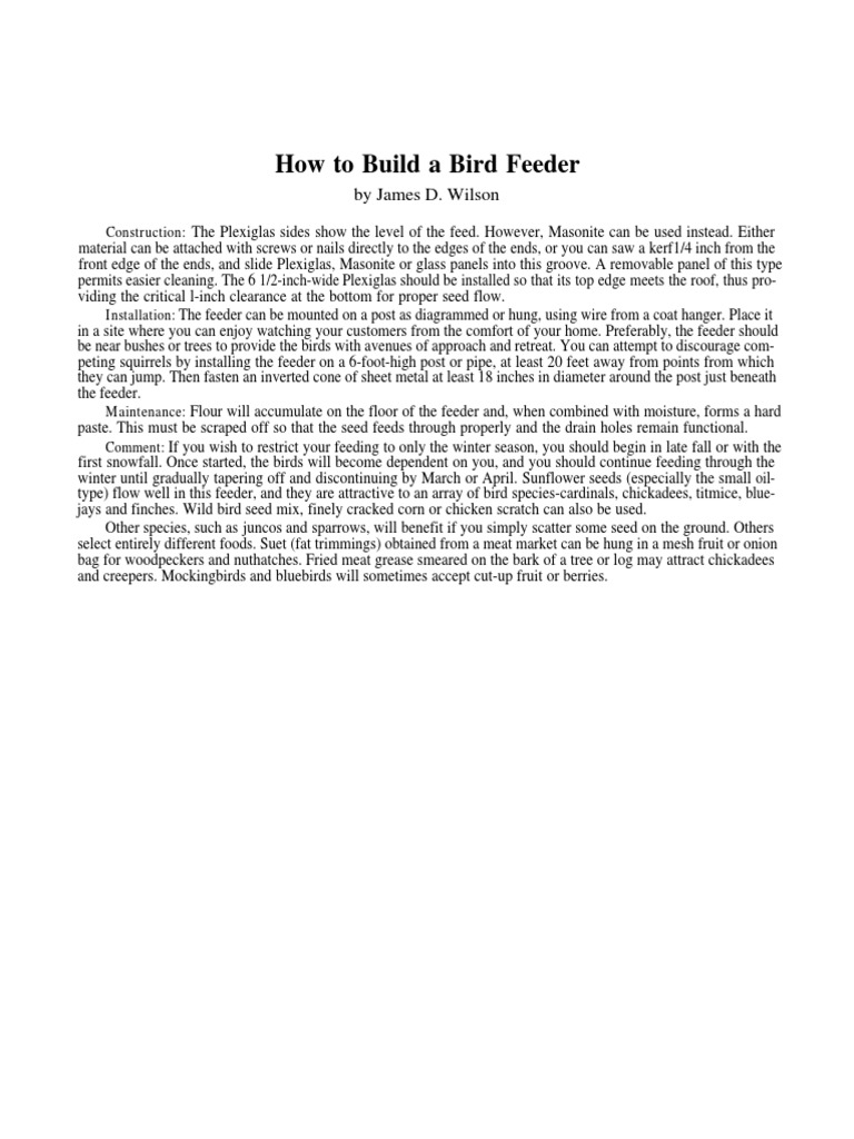 Bird Feeder | PDF
