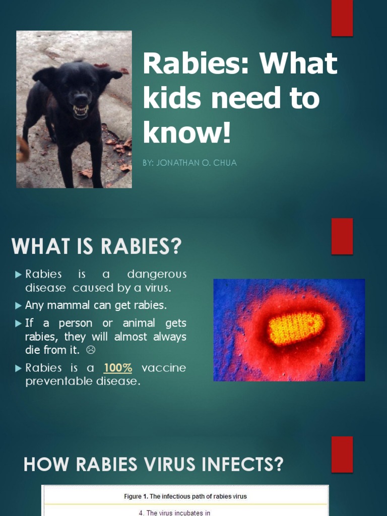 Rabies Vax | Rabies | Public Health