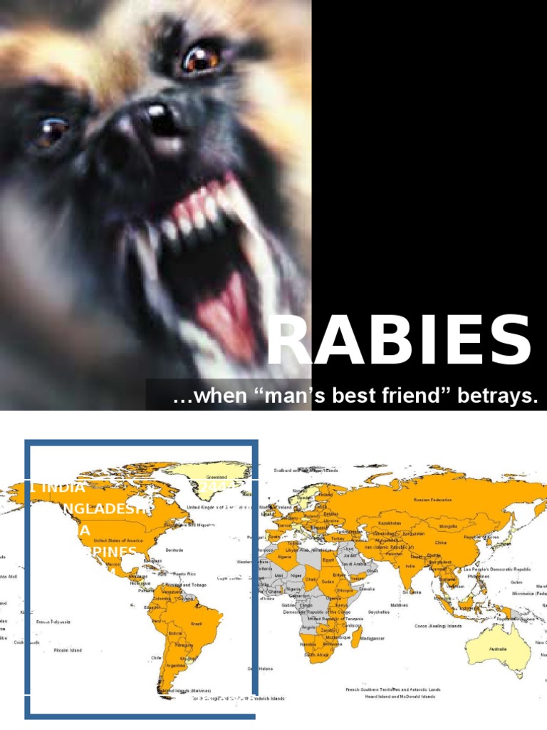 Rabies: When "Man's Best Friend" Betrays | PDF | Rabies | Medical ...