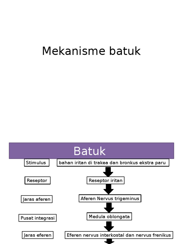 Mekanisme Batuk | PDF