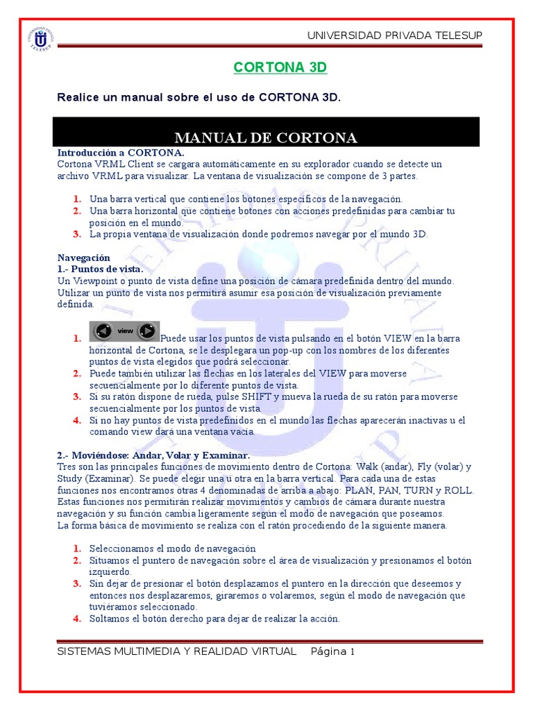Cortona 3d | PDF