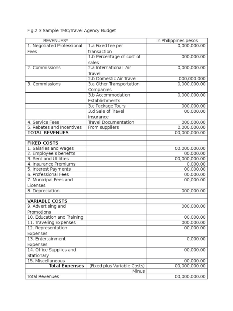TMC/Travel Agency Budget Overview | PDF
