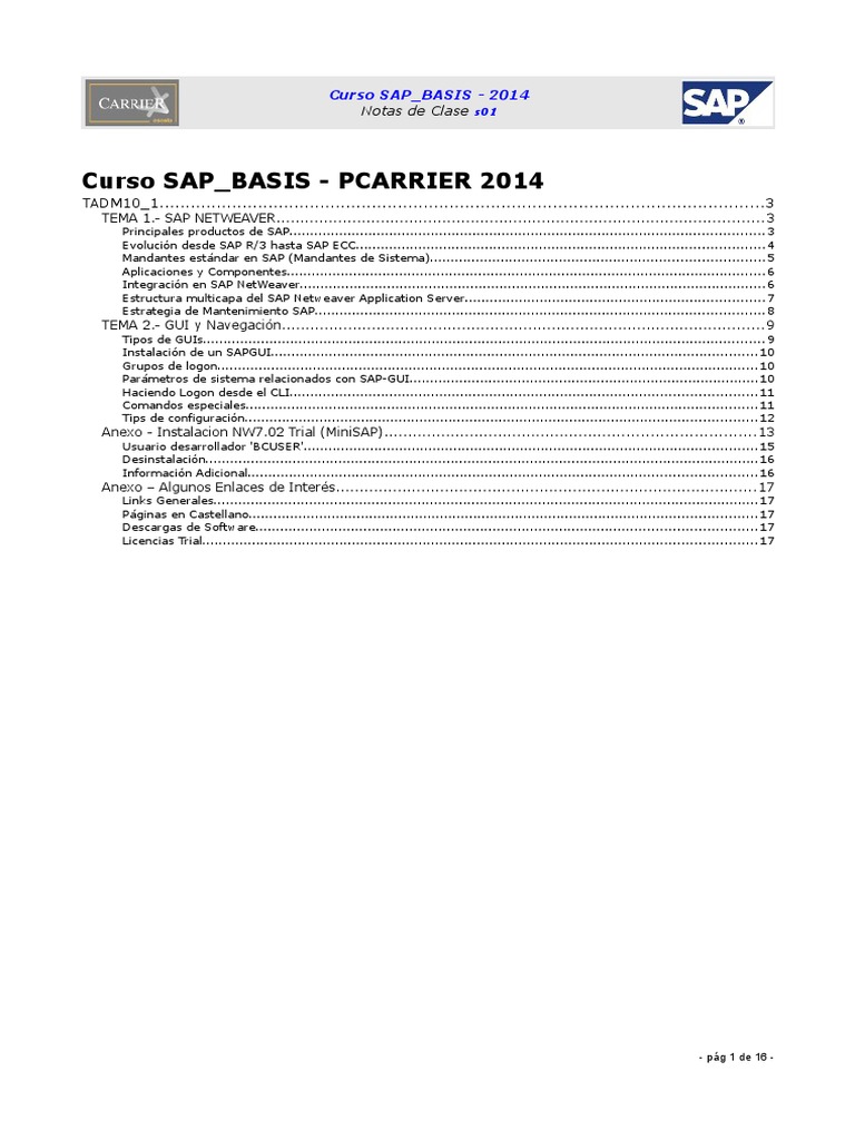 2014 SAP BASIS - Notas de Clase s01 | PDF | Sap Se | Interfaces ...