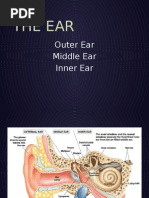 Grade 12 Life Science The Ear PDF | PDF | Ear | Hearing