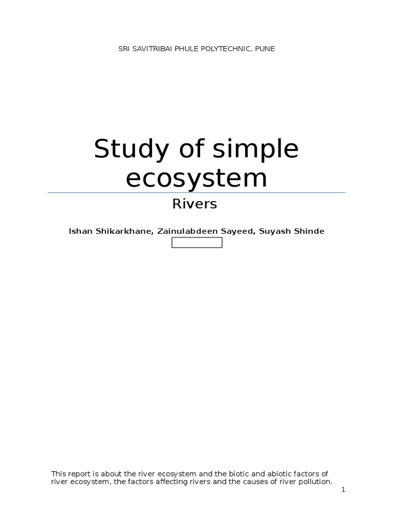Study of River Ecosystem | PDF | Ecosystem | Biogeochemistry