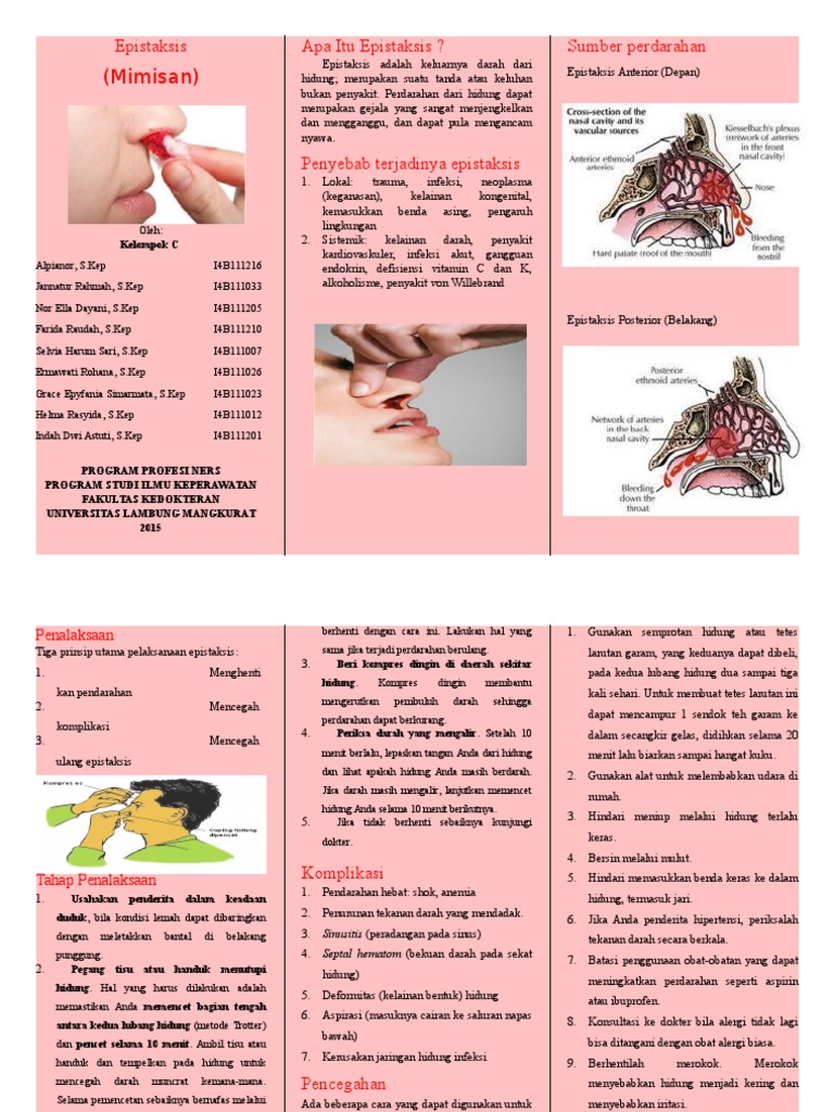 Leflet Penkes Poli THT | PDF