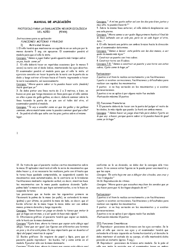 Instrucciones Penn Escala | PDF | Mano | Memoria