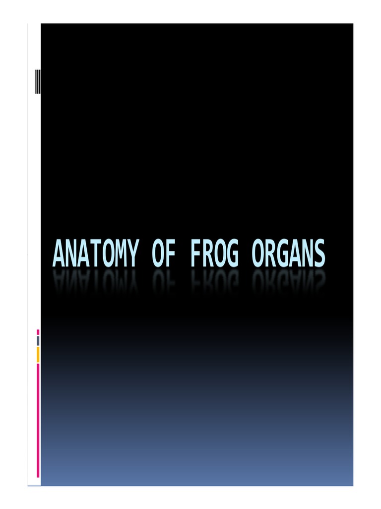 Microscopic Anatomy of Frog Organs | PDF | Epithelium | Skin