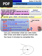 Pigeonetics Game Teacher Guide | PDF | Dominance (Genetics) | Allele