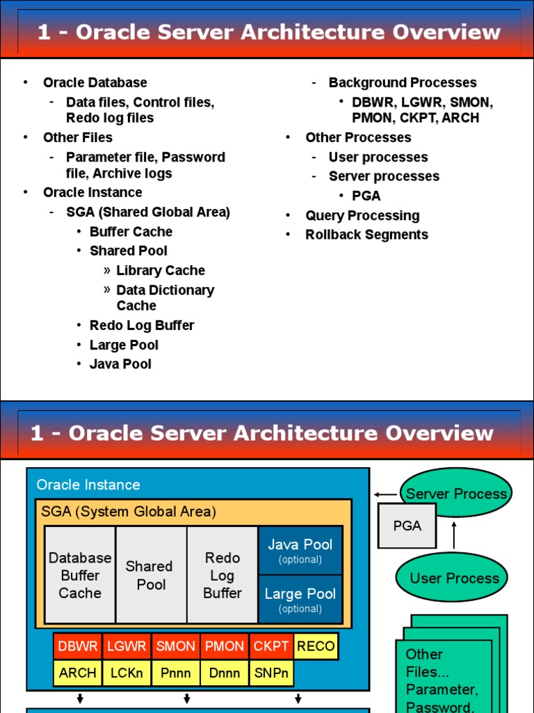 1 - Oracle Server Architecture Overview | PDF | Oracle Database | Cache (Computing)