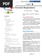 Acino Pulmonar y Enfisema | PDF | Ciencia y matemáticas