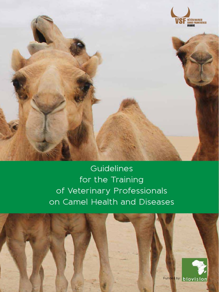 Guidelines For The Training of Veterinary Professionals On Camel Health ...