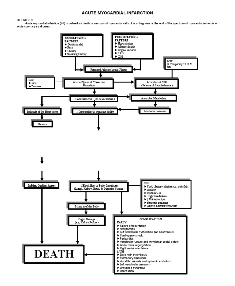 Acute Myocardial Infarction | PDF | Myocardial Infarction | Ischemia