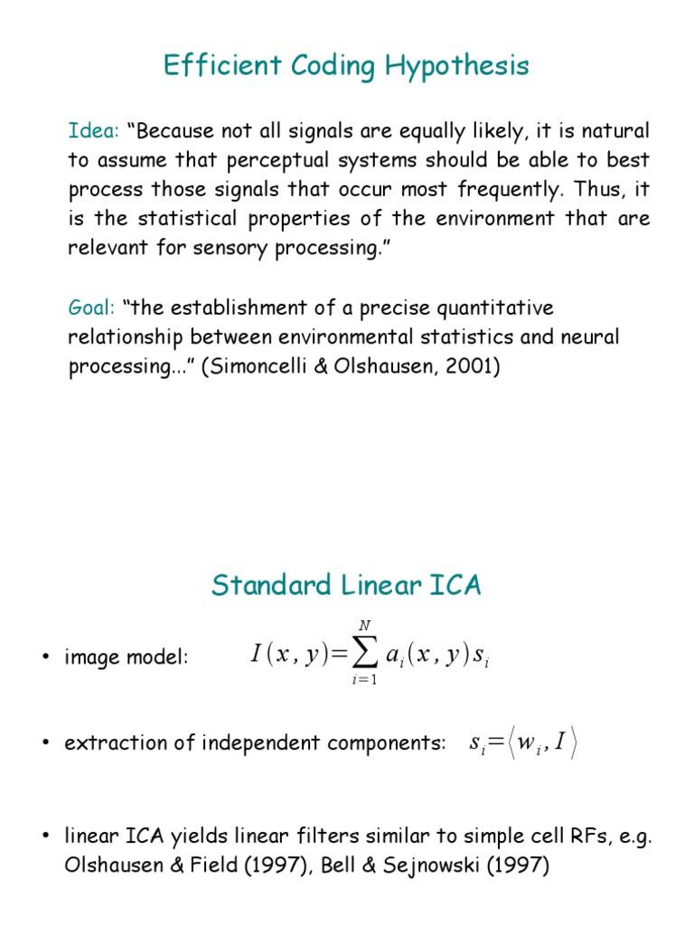 Efficient Coding Hypothesis: Idea | PDF