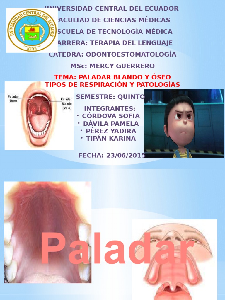 Características del Paladar | Respiración | Pulmón | Prueba gratuita de ...