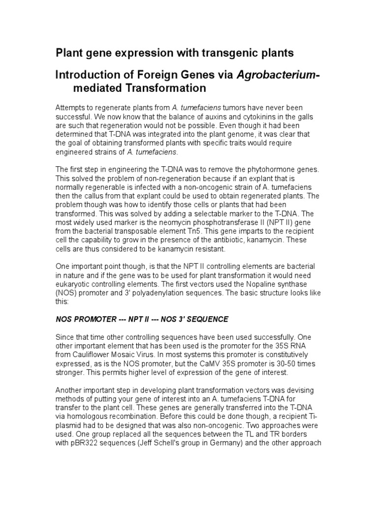 Plant Gene Expression | Download Free PDF | Molecular Genetics ...