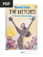 Activities for Roald Dahl's The Witches | PDF