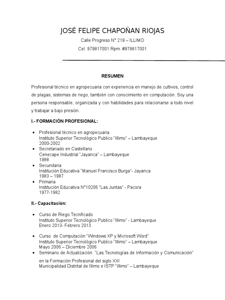 José Felipe Chapoñan Riojas | PDF | Software | Informática