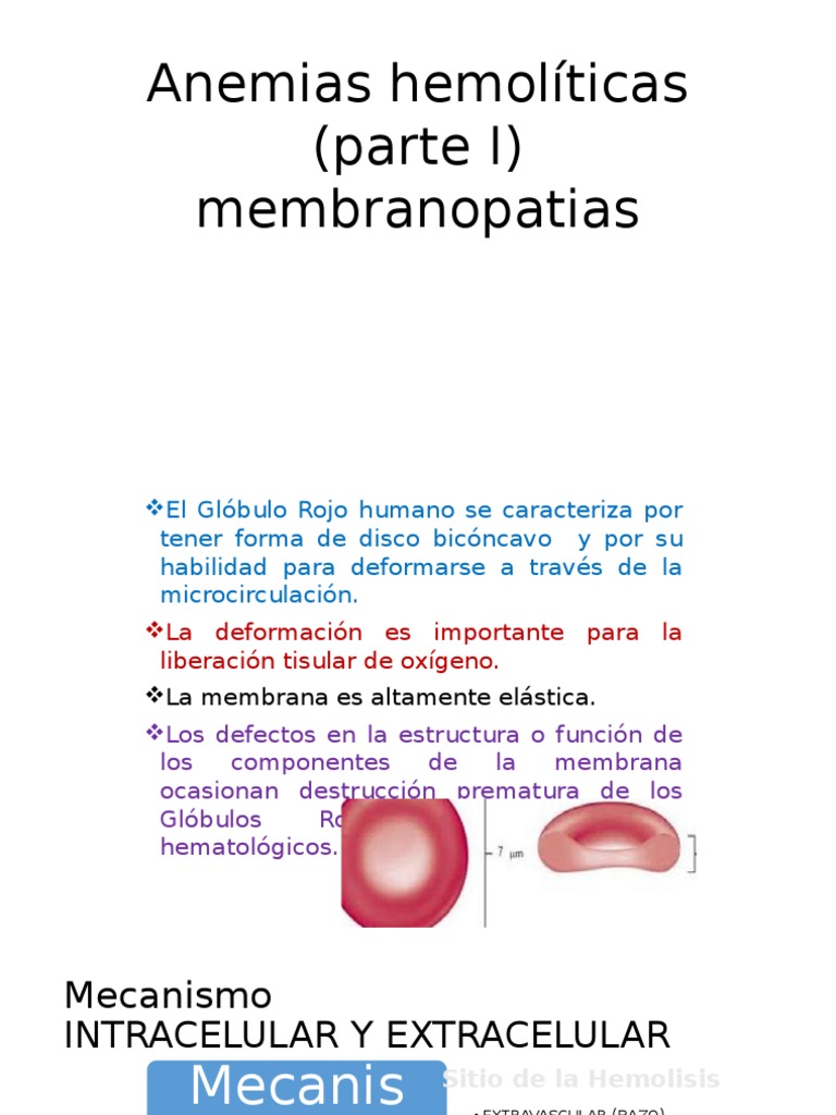 Anemias Hemolíticas (Parte I) Membranopatias | Glóbulo rojo | Membrana ...