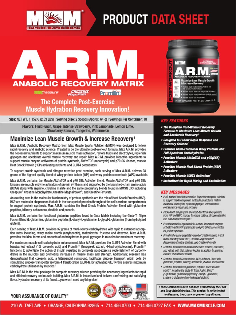 Max Arm | PDF