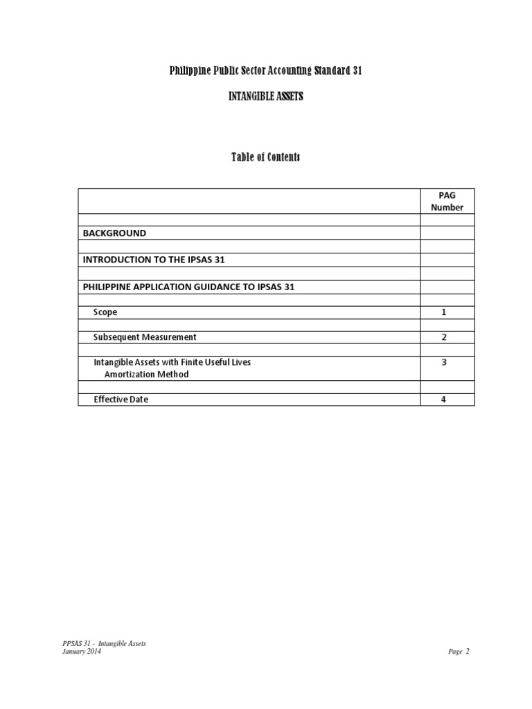 PPSAS 31: Intangible Assets Guidance | PDF