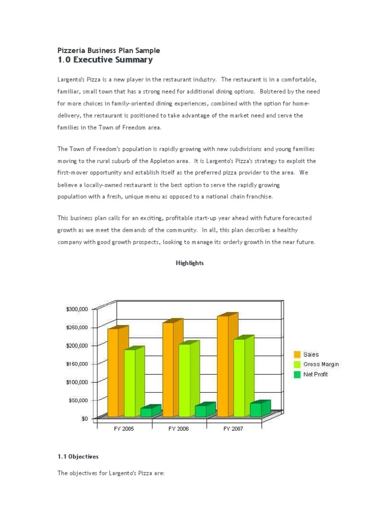 Pizza Plan | PDF | Balance Sheet | Websites