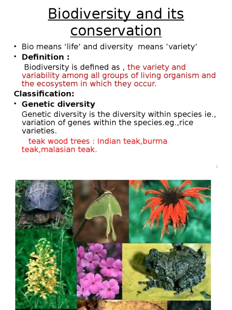 Bio Means Life' and Diversity Means Variety' - Definition: Biodiversity ...