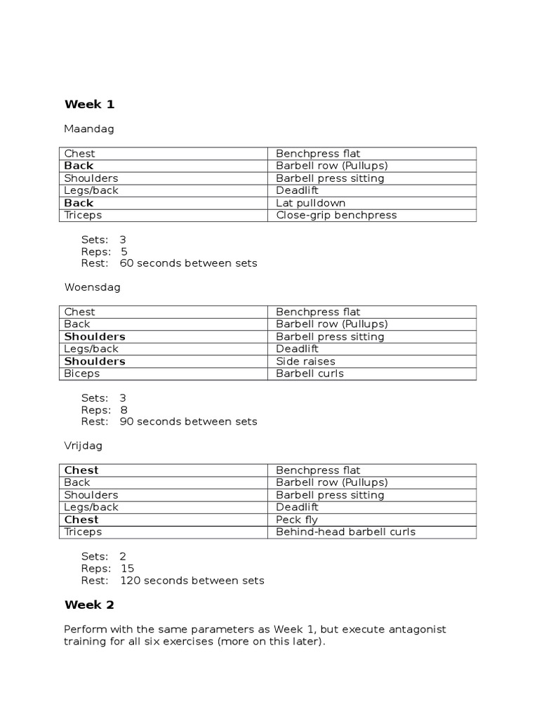 Fitness Schema | Download Free PDF | Individual Sports | Human Anatomy