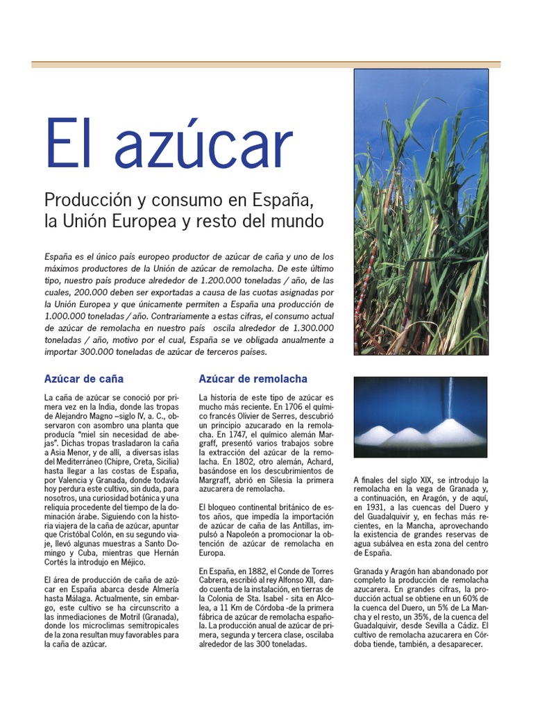 Historia y producción del azúcar en España | PDF | Azúcar | Dieta y ...