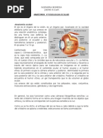 Tecnica Faco+lio+vitrectomia+retinopexia | PDF | Catarata | Oftalmología