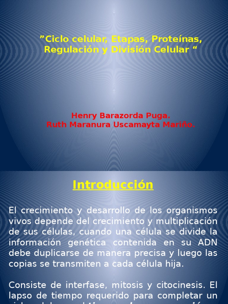 Citoge Expoci Mitosis | PDF | Mitosis | Mitosis