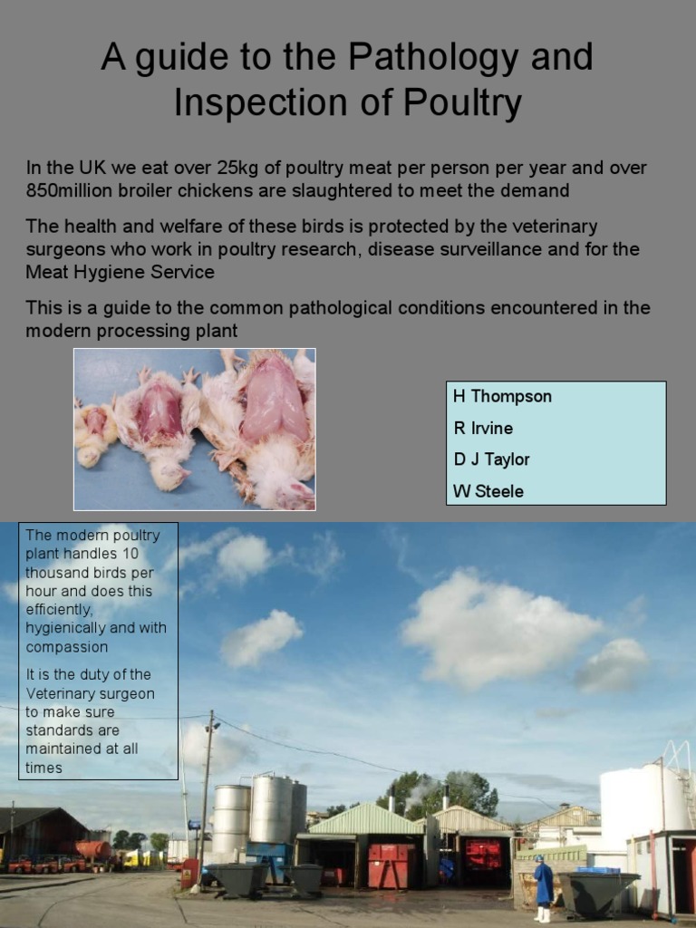 Pathology and Inspection of Poultry 2007 | Poultry | Heart Failure