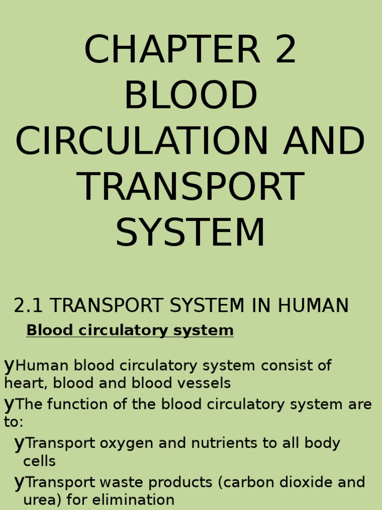 2013 Blood Circulation and Transport System | PDF | Circulatory System ...