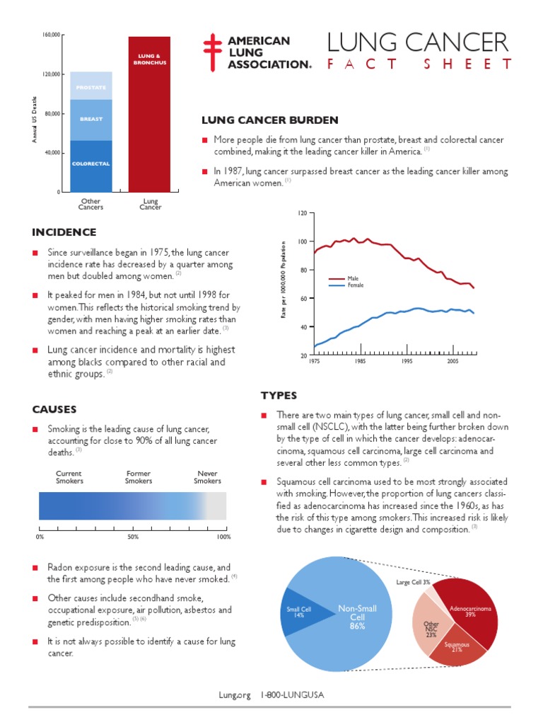 Lung Cancer Fact Sheet 042214 | PDF | Lung Cancer | Non Small Cell Lung ...