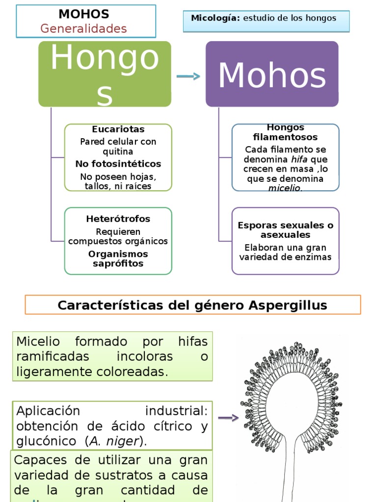 MOHOS