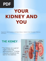 IRIS Pocket Guide To CKD PDF | PDF | Chronic Kidney Disease | Creatinine