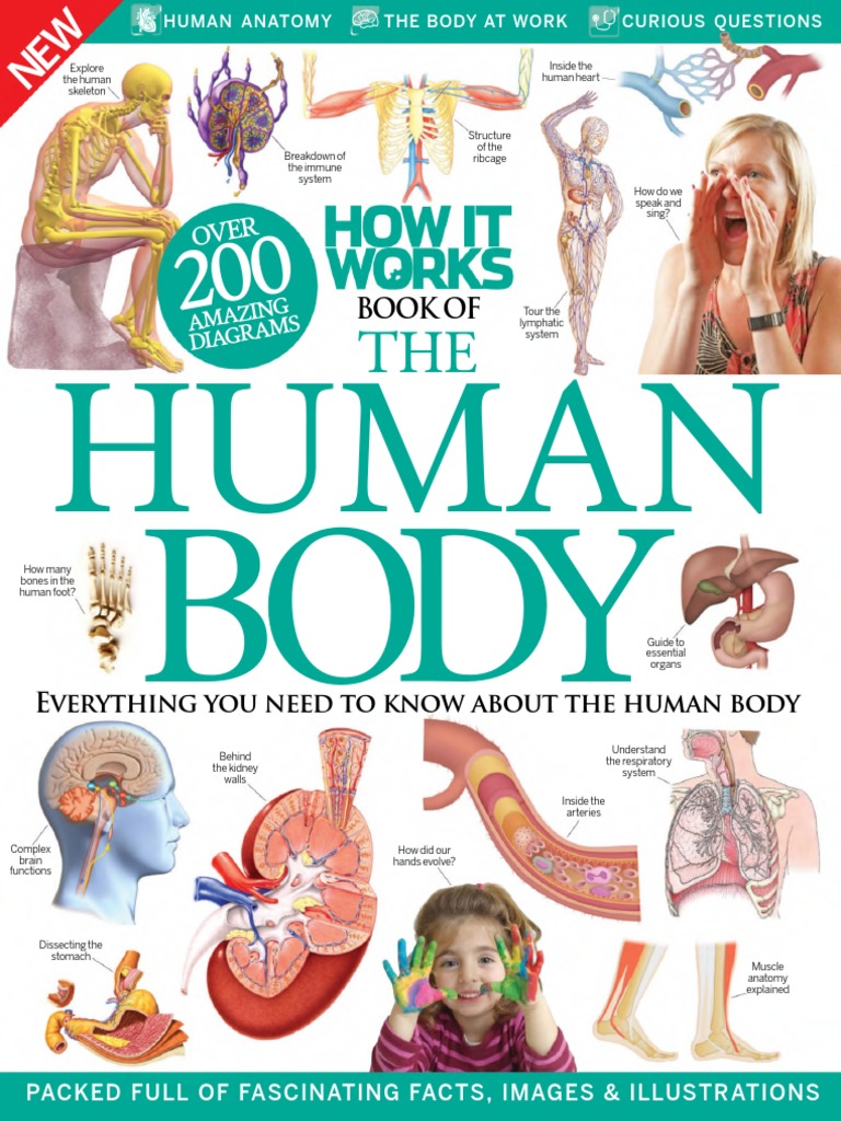 How It Works - Human Body | PDF | Cell Nucleus | Cytoplasm